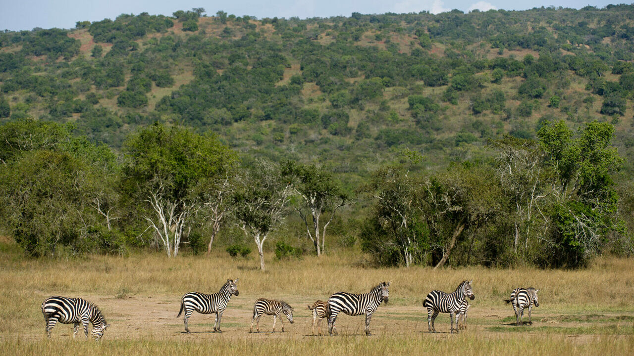 Living In Rwanda Expat Guide